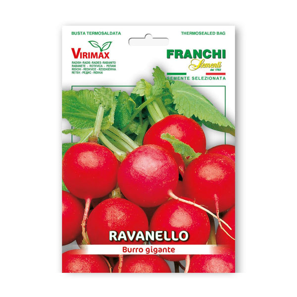 Redīsi Burro gigante 12g – Dārziem