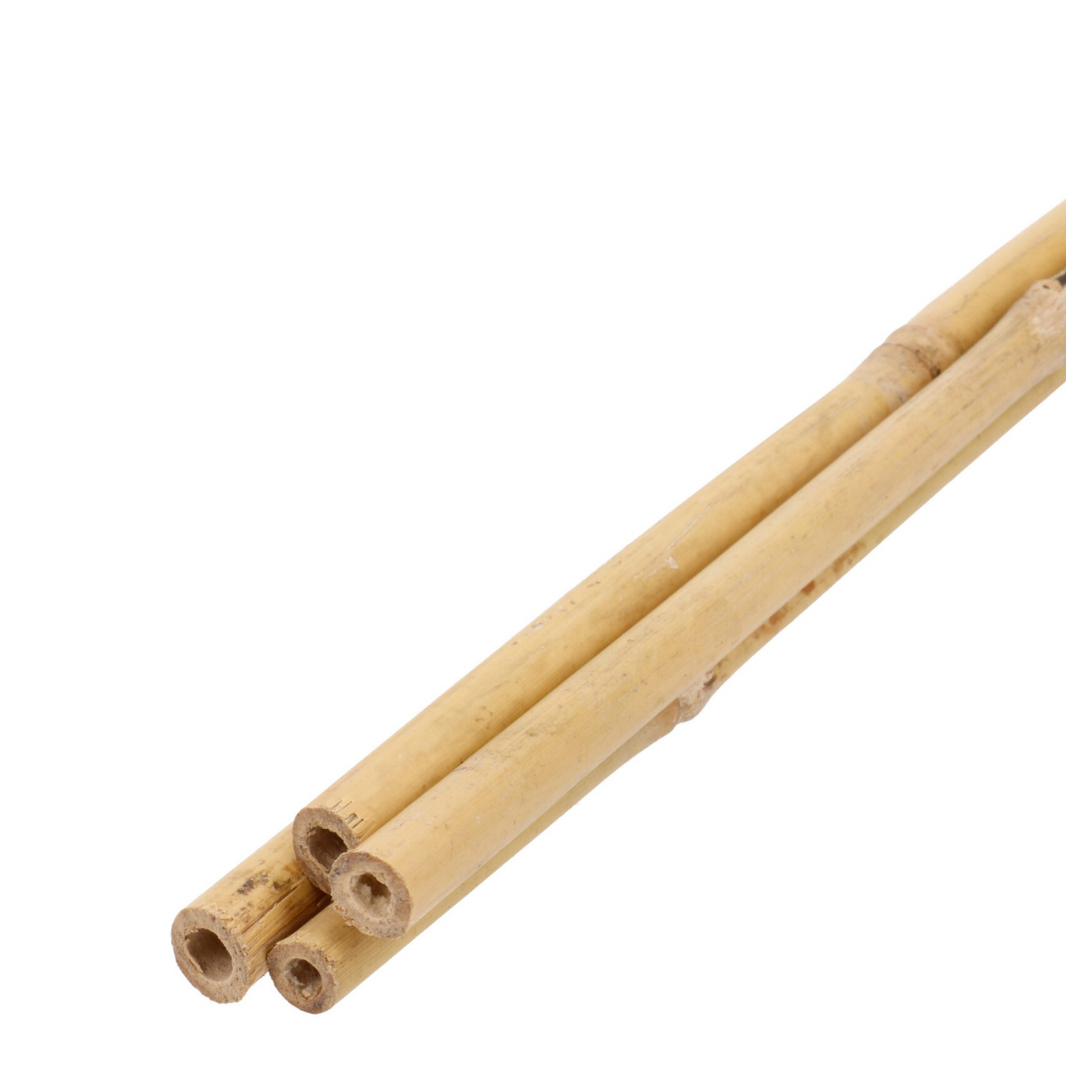 AUGU BALSTI, STIPRINĀJUMI – Dārziem